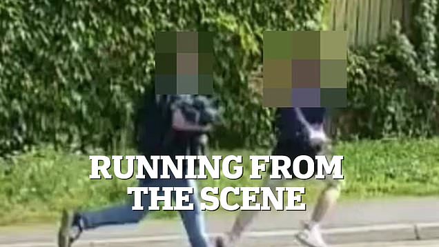 Moment teens run away from scene of kittens attack