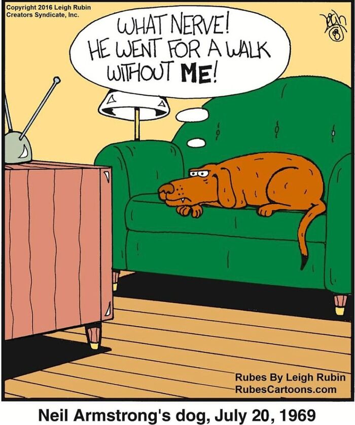 46 Humorous And Silly Comics By Rubes Cartoons