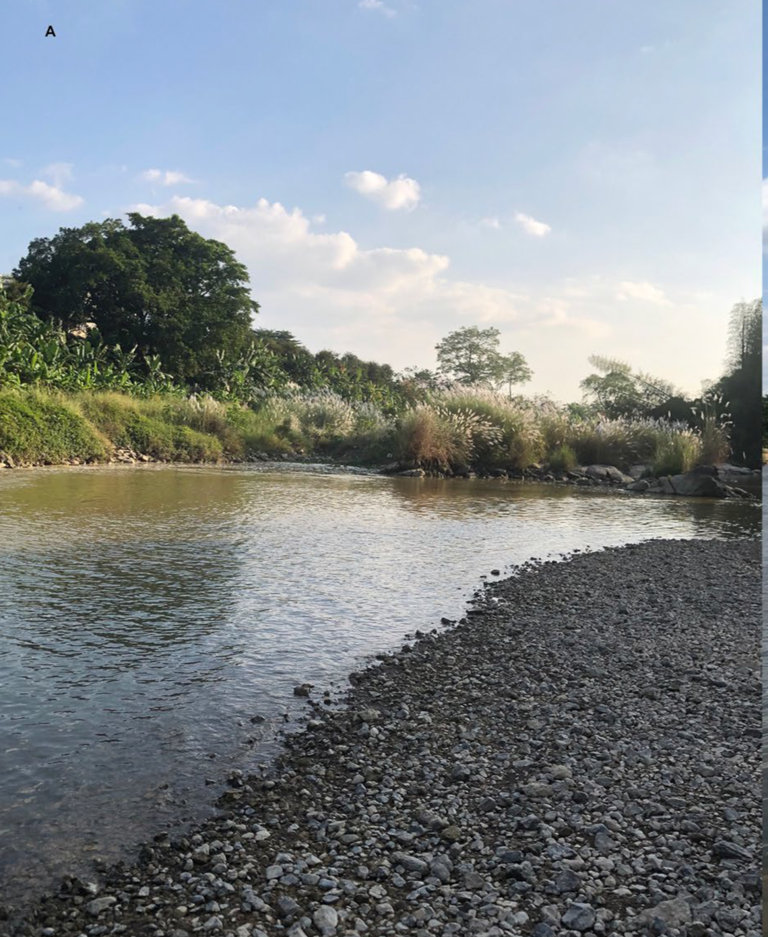 ‘Shiny' creature with ‘hooked' teeth found in river in China. It's a ...