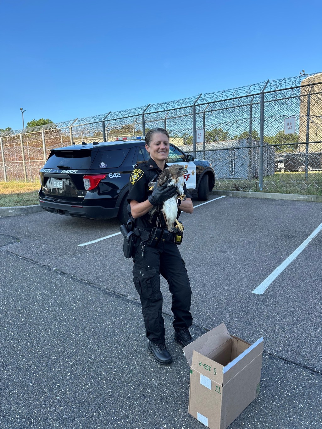 Hawk-eyed Long Island deputy sheriff rescues injured bird on side of ...