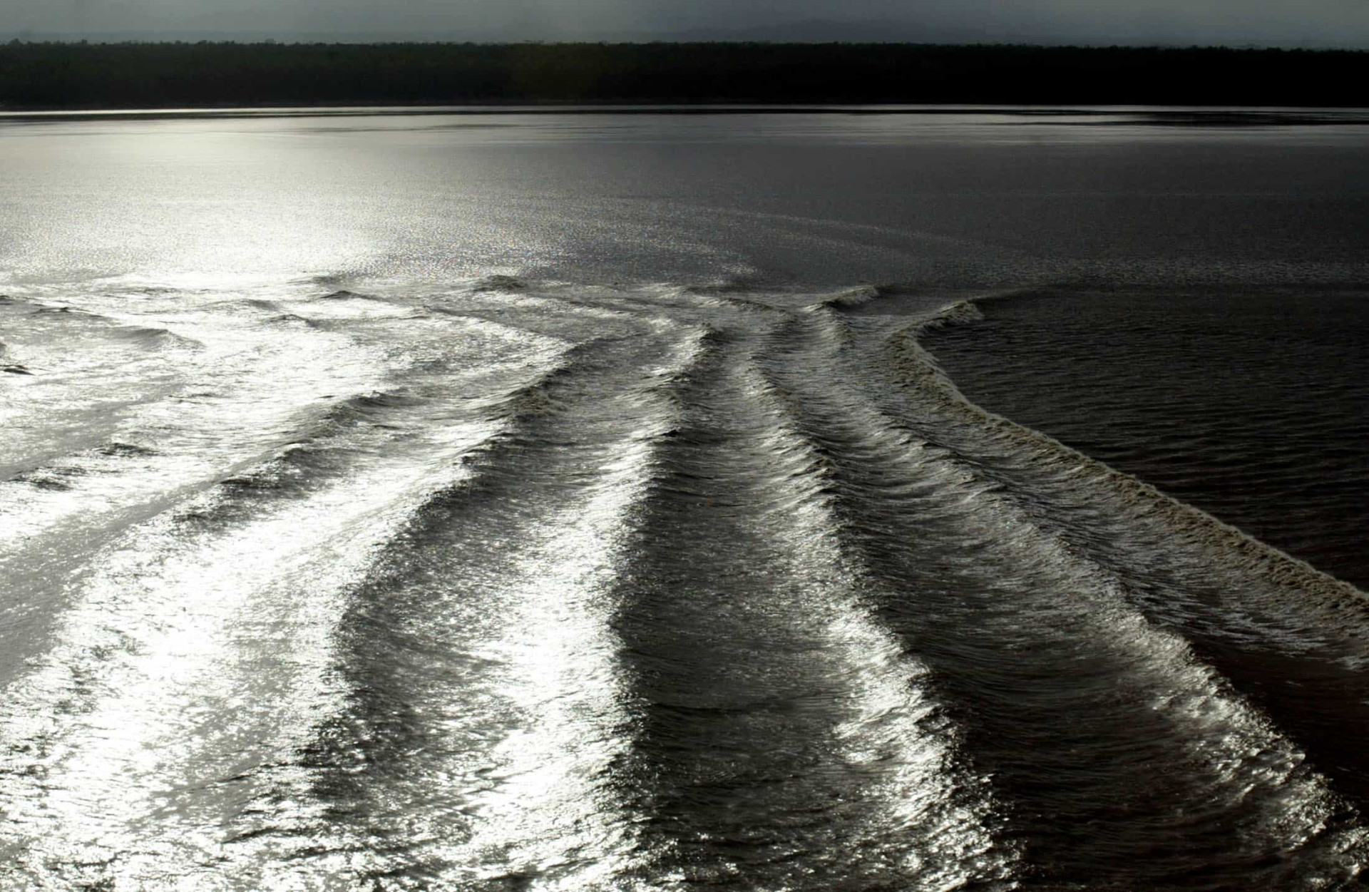 Surfing Amazon's endless wave