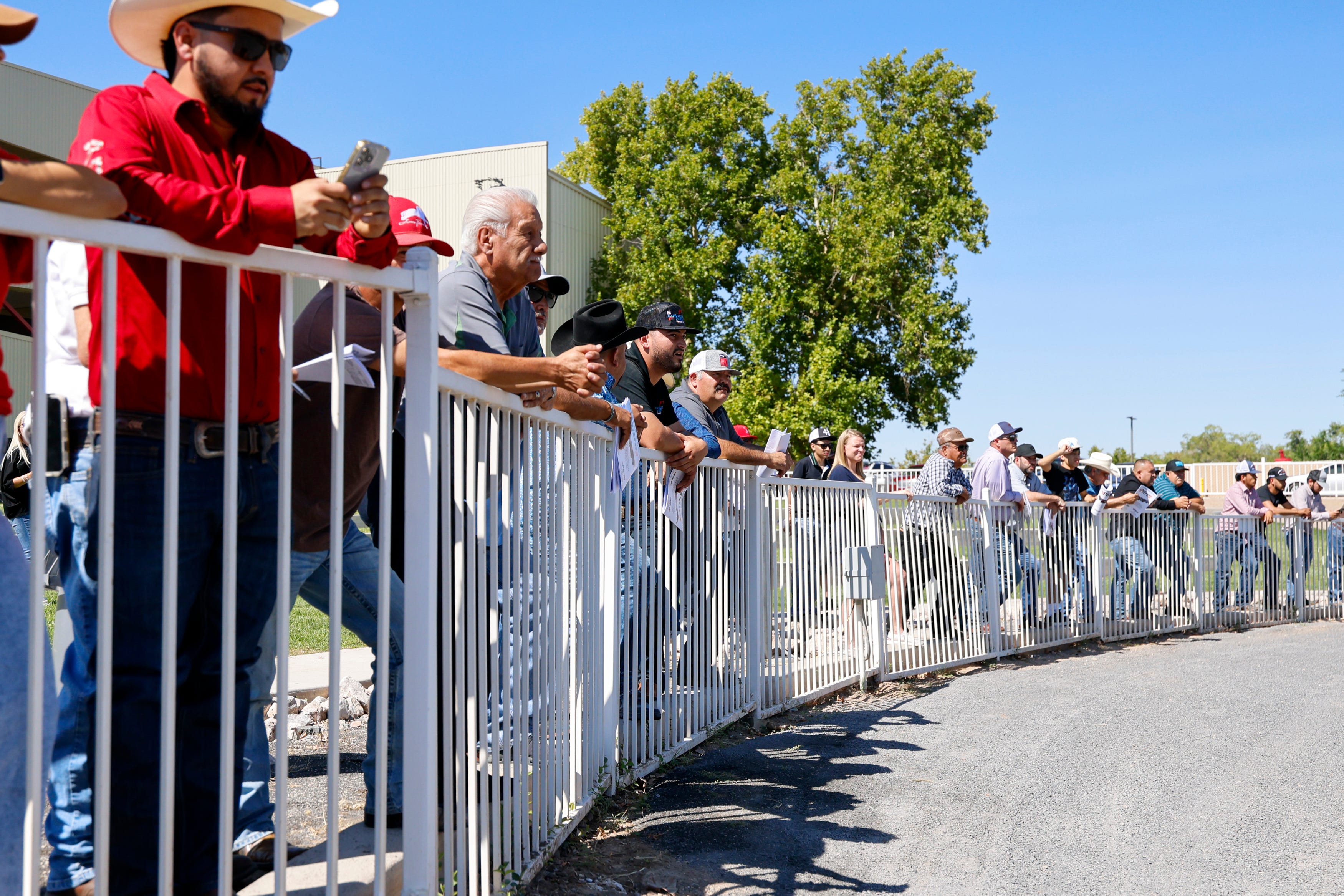 All American Futurity trials 2025: Results from Day 1 of horse racing ...