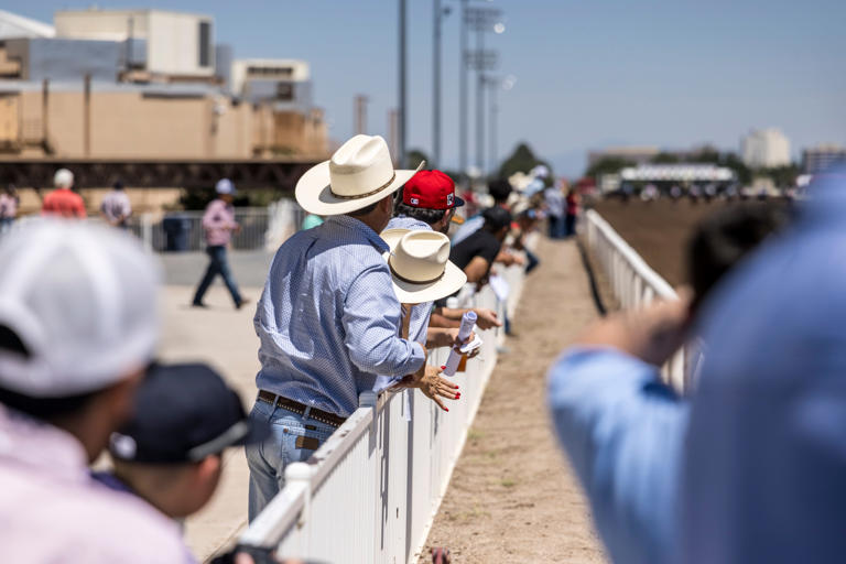All American Futurity trials 2025: Day 2 results from horse racing ...