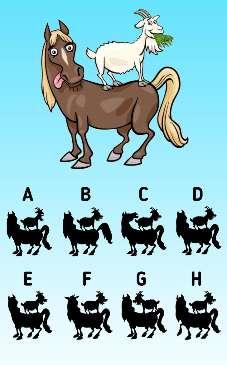 Can Your IQ of 121 Outsmart This Mind-Bending Brain Teaser? Spot the One Correct Animal Shadow ...