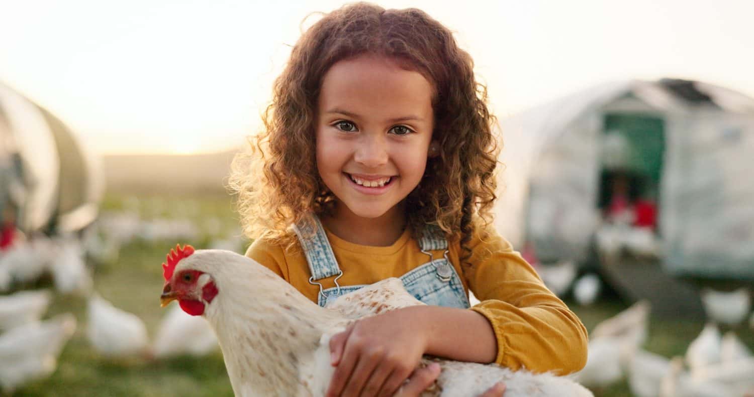 6 chicken breeds that are perfect for children
