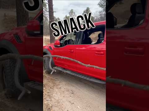 The hidden log vs $60k truck