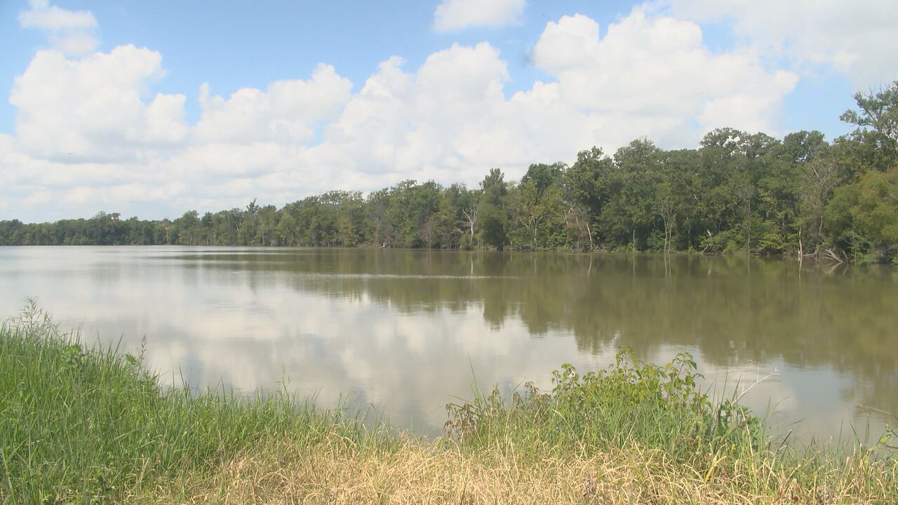 Cache River debris removal project goes up for bidding
