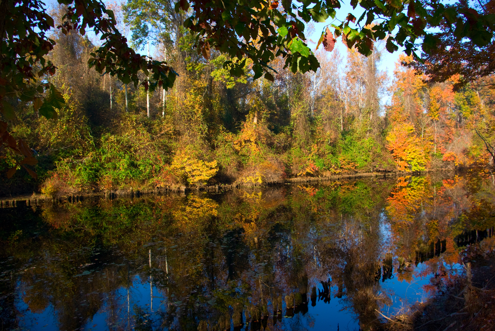 Escaped slaves built secret communities in this Virginia swamp for 200 ...