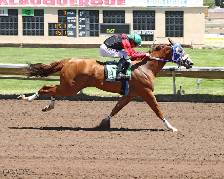 All American Futurity trials 2025: Day 2 results from horse racing ...