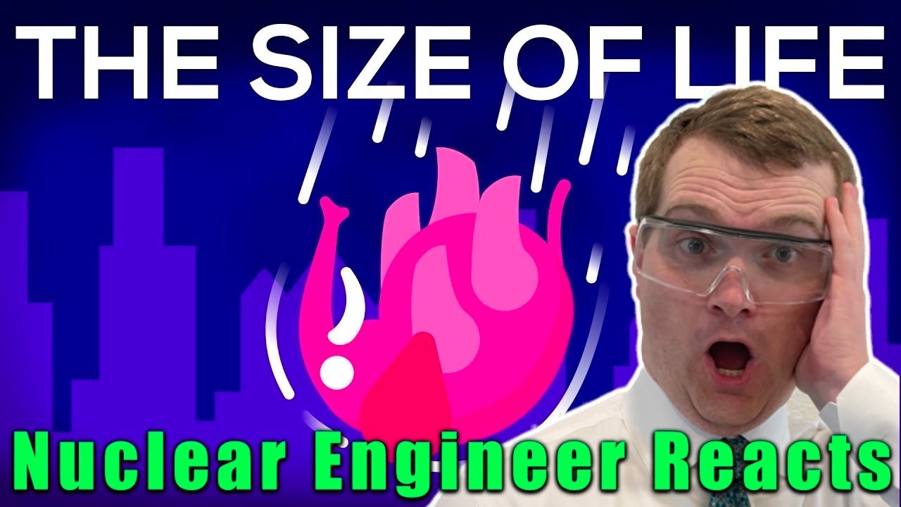 The True Scale of Life Explained — Nuclear Engineer Reacts to ...