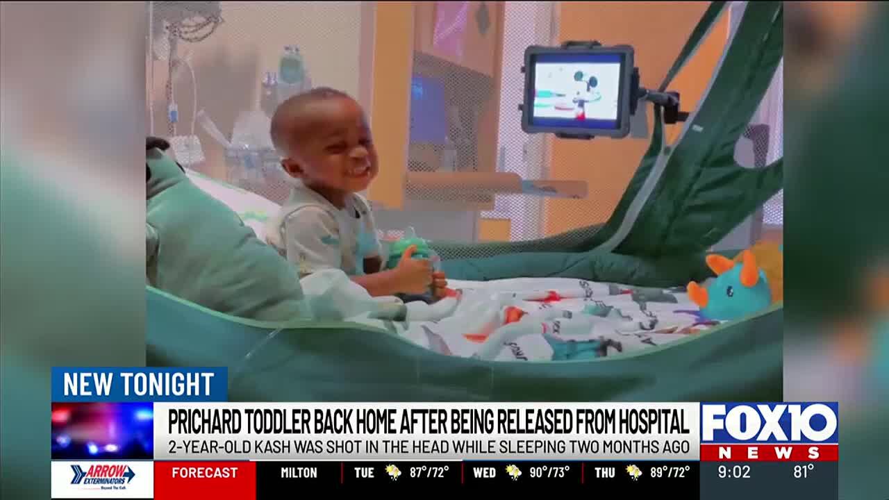 Toddler shot in the face two months ago is released from the hospital