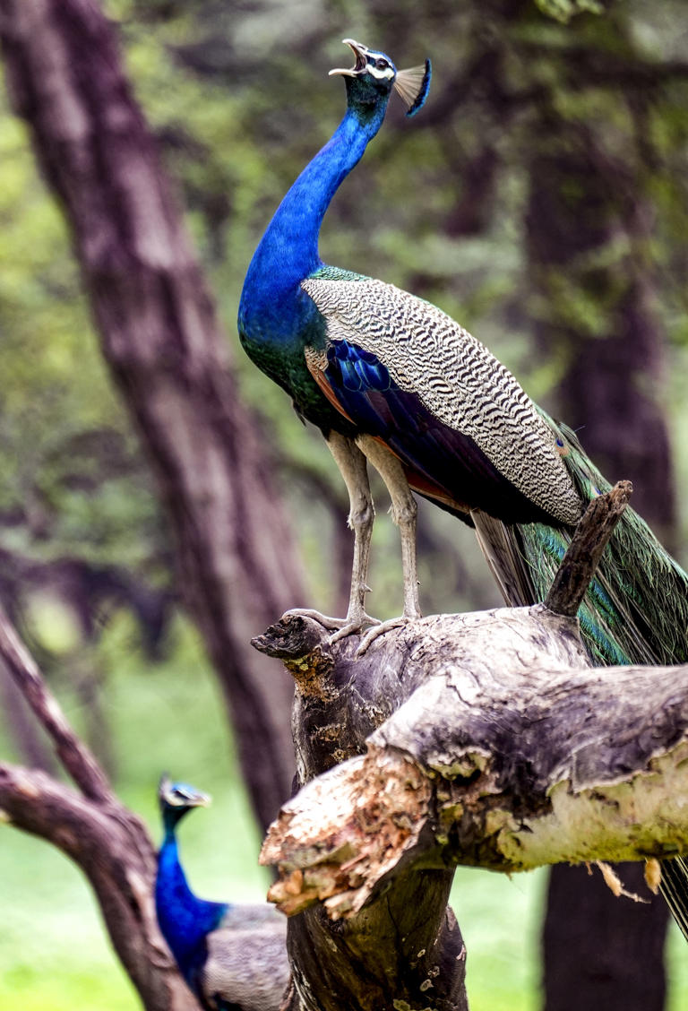 Man killed over Rs 200 loan dispute in UP’s Gonda, family stages protest