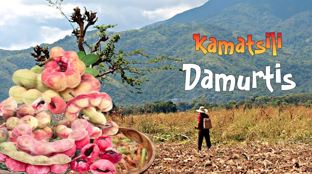 Sweet and Tangy Treat: Exploring the Flavors of Camachile (Manila Tamarind)