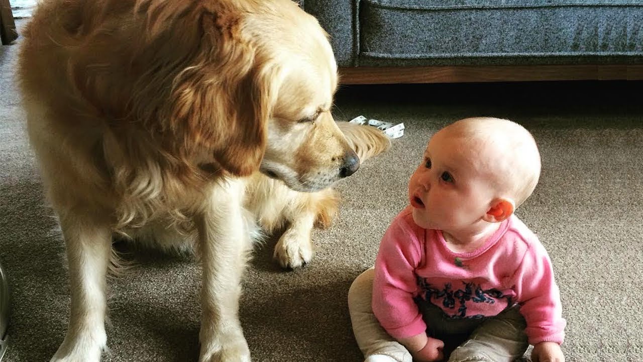 Babies growing up with their furry friends