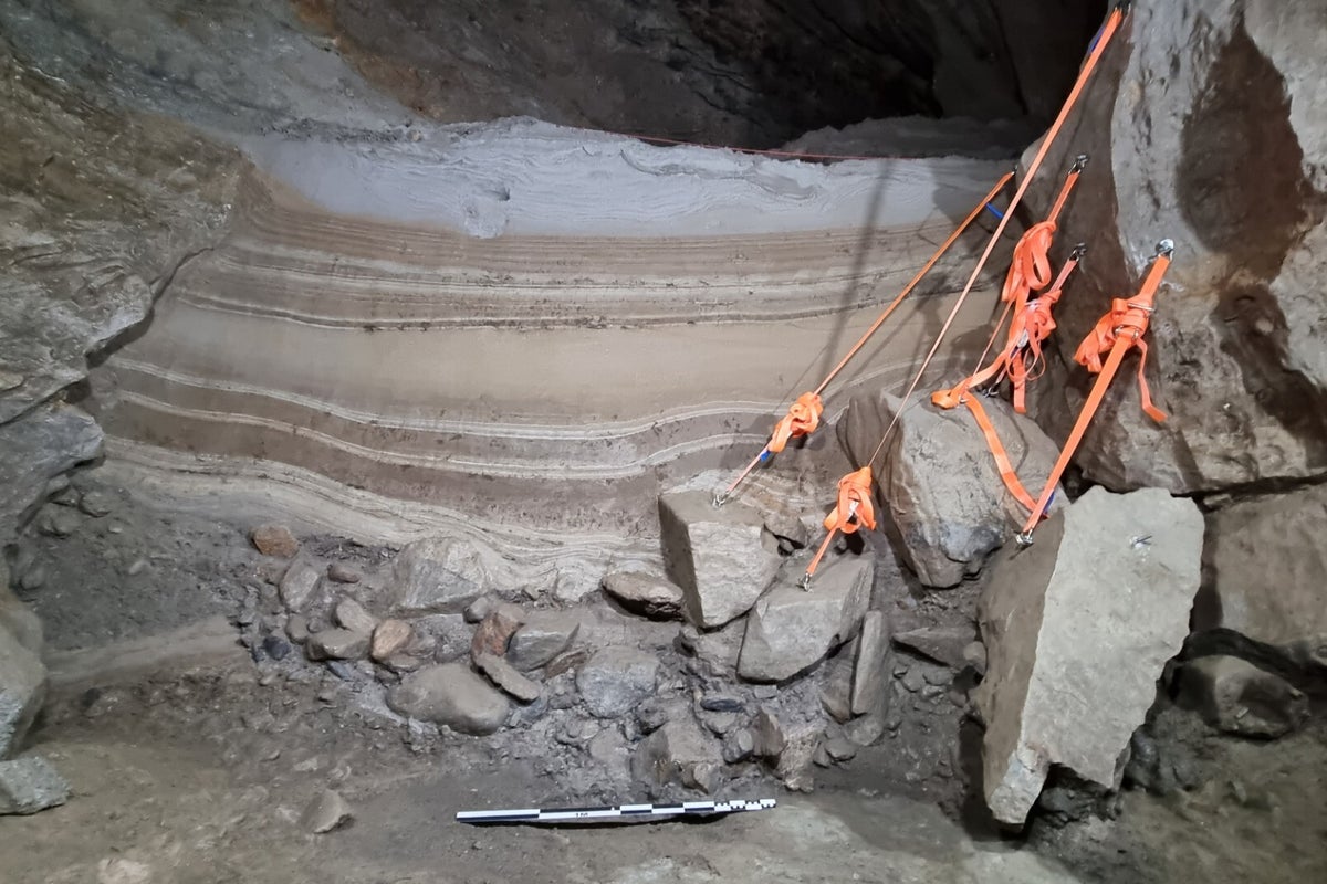 Discovery in Arctic cave provides a ‘rare snapshot of a vanished world’