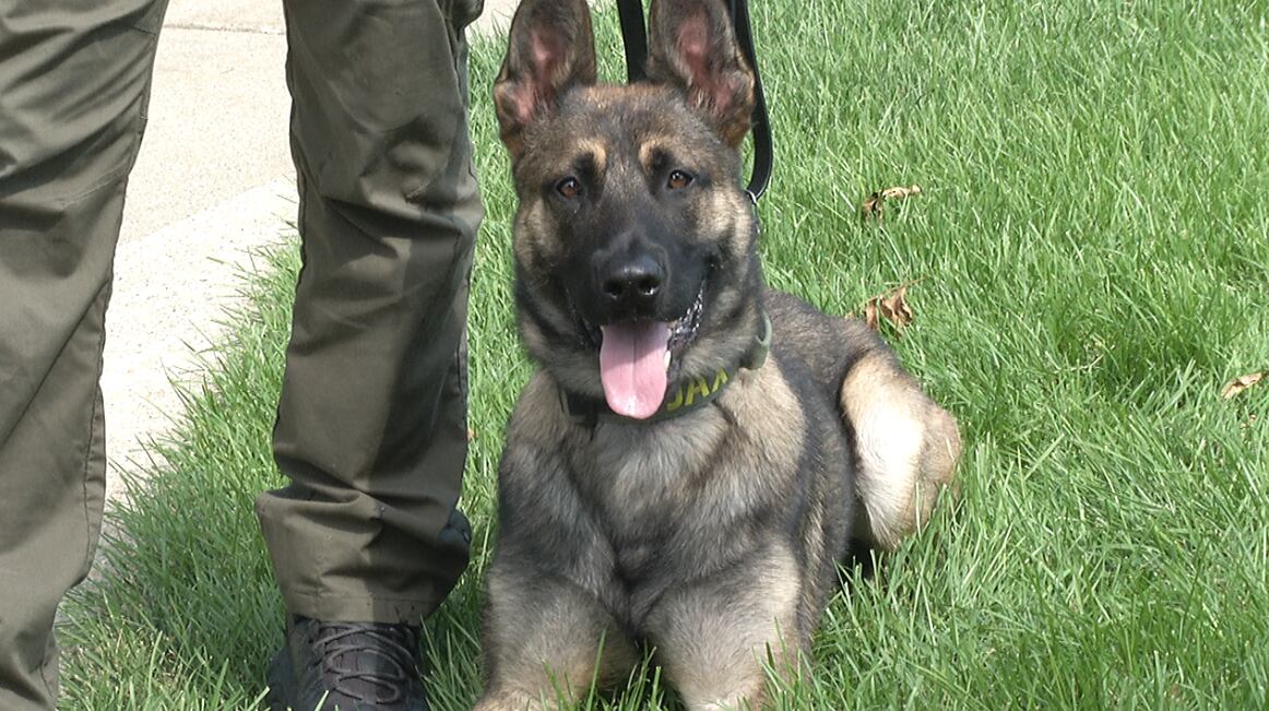 Community comes together to raise money for new K-9