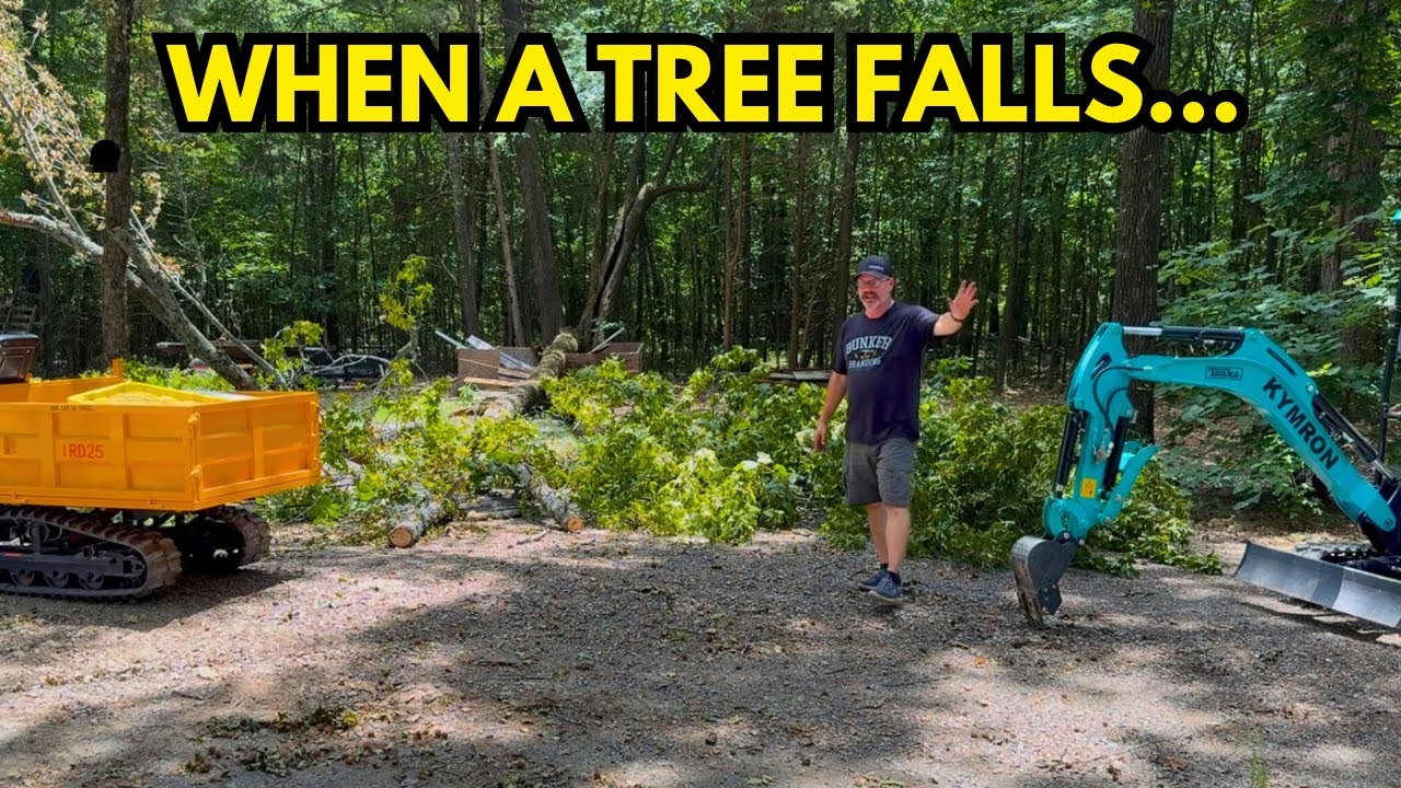 Heavy equipment that removes fallen trees quickly