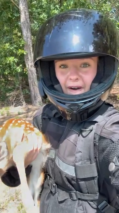 Woman Helps Fawn Collapsed on Road