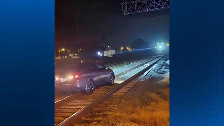 Police avert disaster by saving driver stuck on train tracks