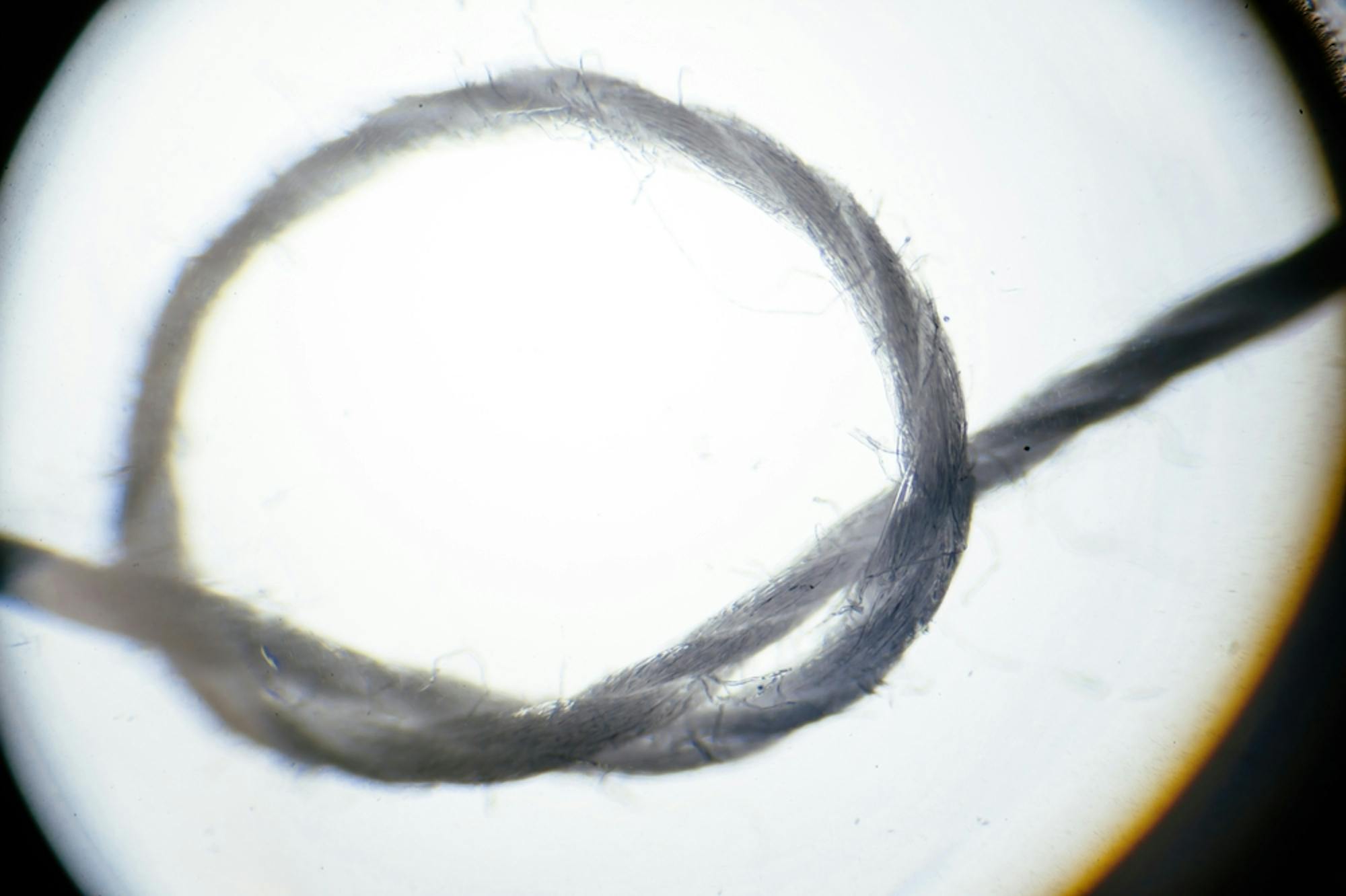 Why do some clothes shrink in the wash? A textile scientist explains ...
