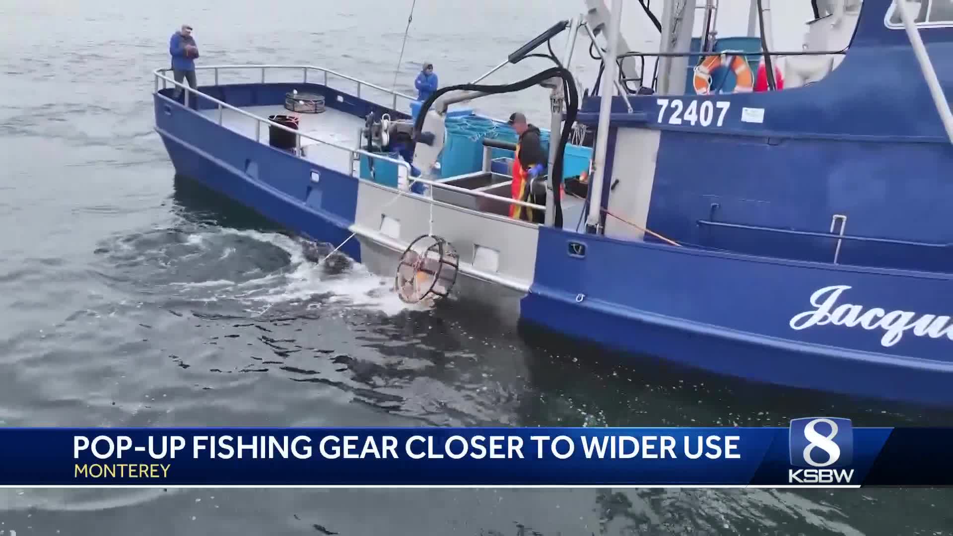 Whale-safe pop-up gear could bring local crab back to Monterey Bay markets