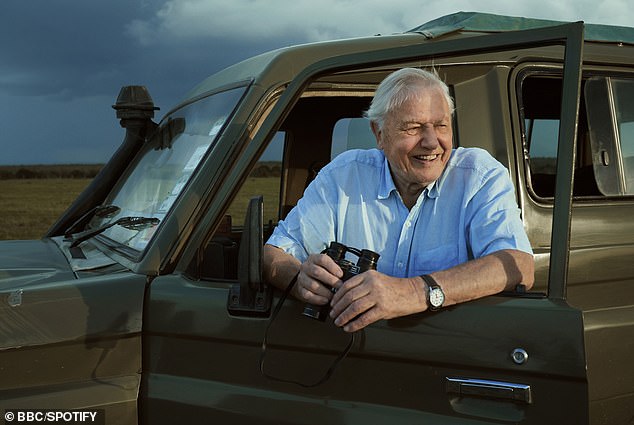 Sir David Attenborough's latest series Parenthood is filmed in a fish ...