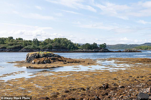 The beautiful Scottish island on sale for the same price as the average ...