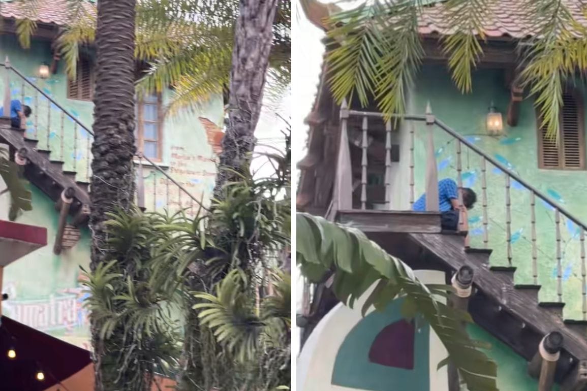 VIDEO: Guest Climbs to Restricted Area at Top of Port of Entry Building ...