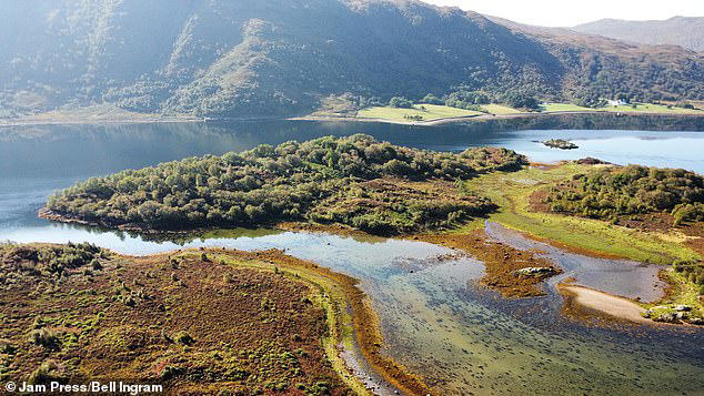 The beautiful Scottish island on sale for the same price as the average ...