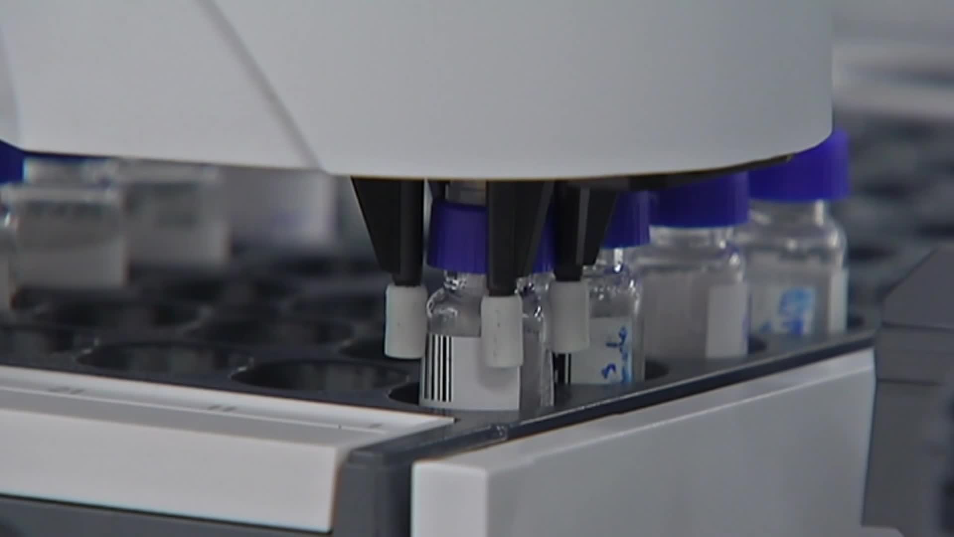 Advocacy groups hit out at Queensland lab for delays in evidence