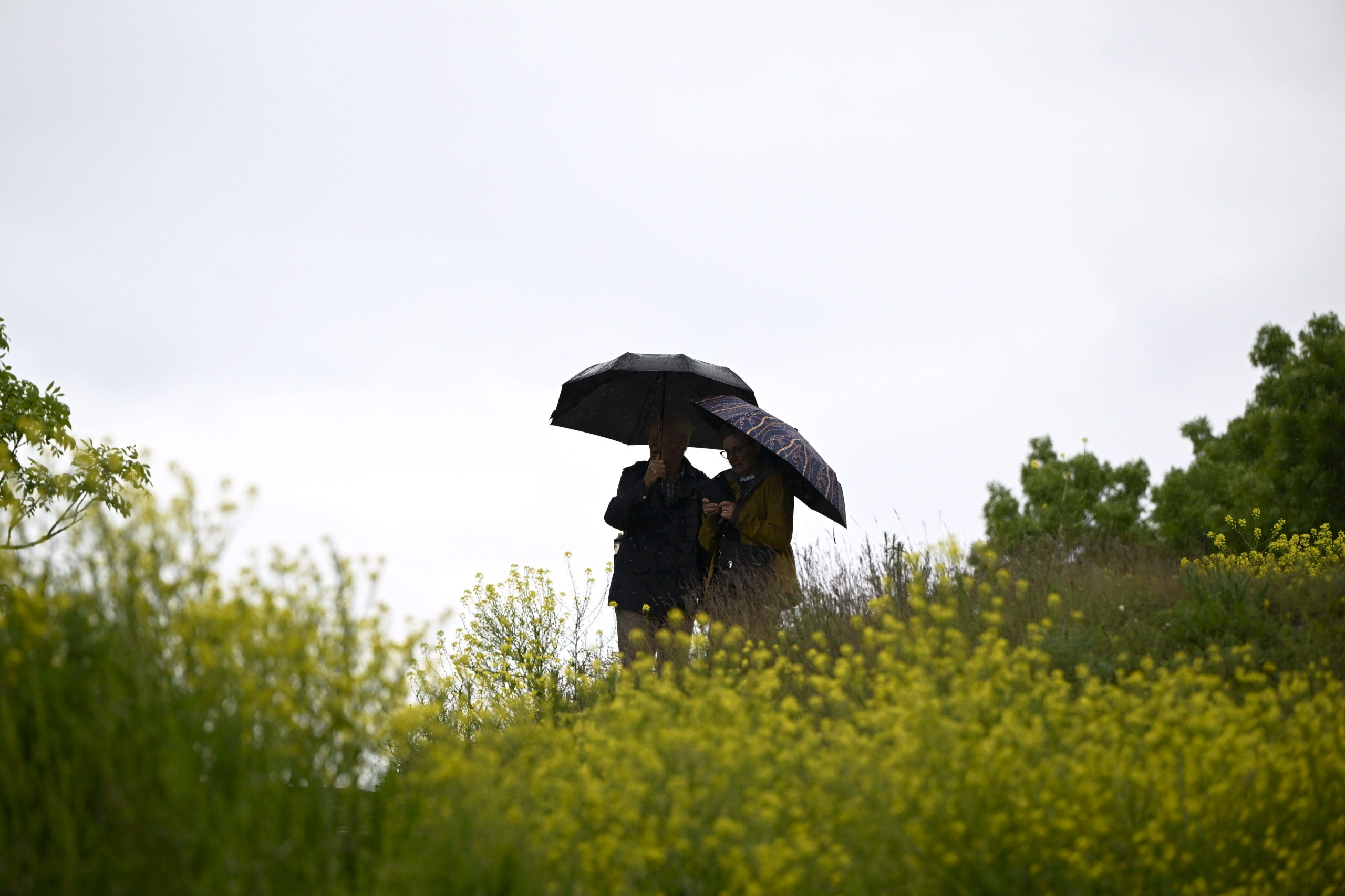 Alkuviikolla epävakaista, loppuviikolla helteet mahdollisia