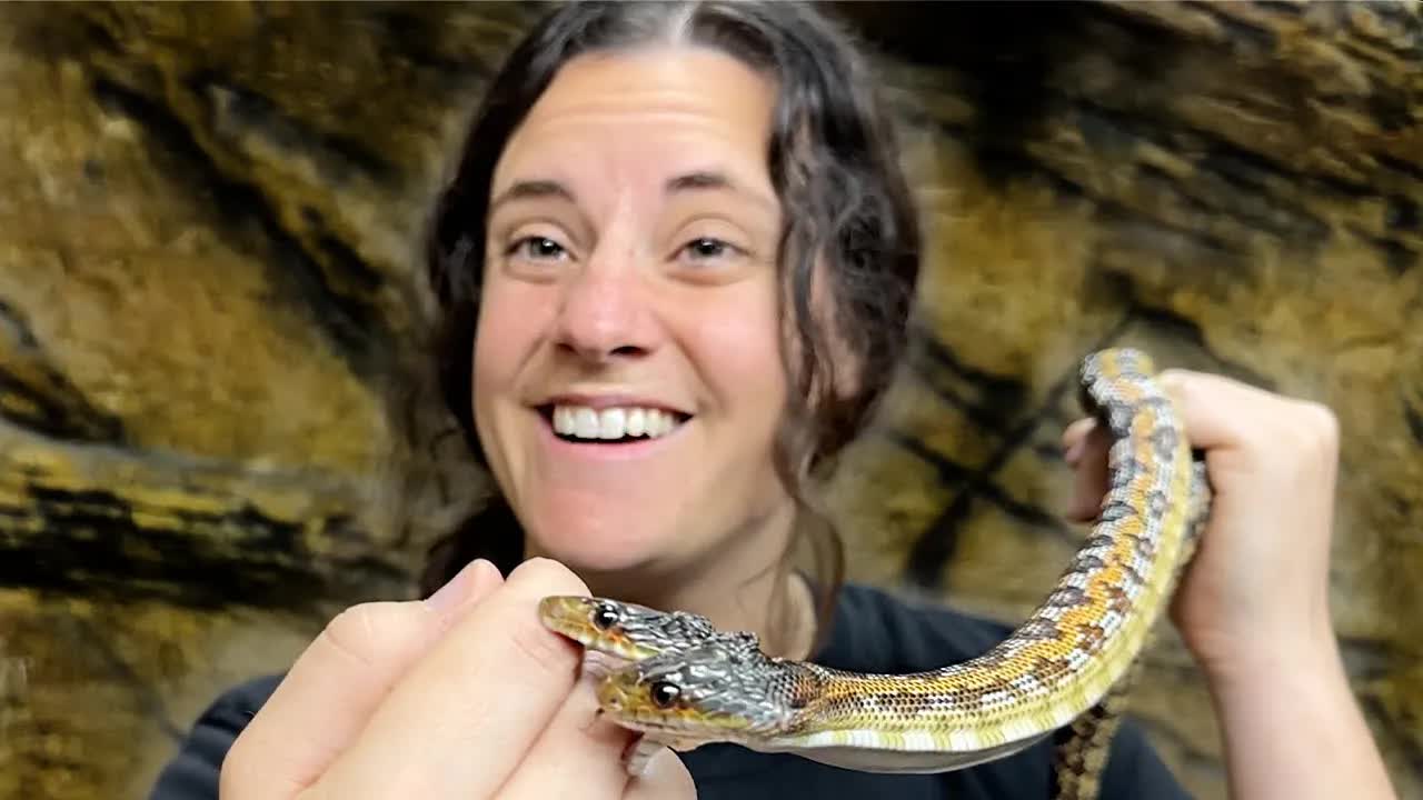 My Two Headed Was A Little Grumpy!