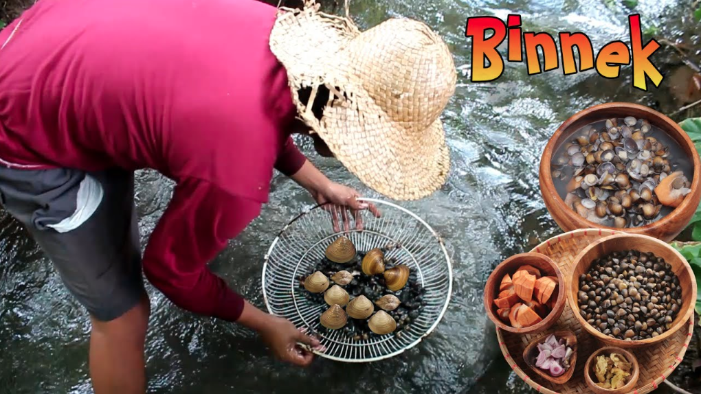 Harvesting Santol & Foraging Clams for a Hearty Provincial Soup ...