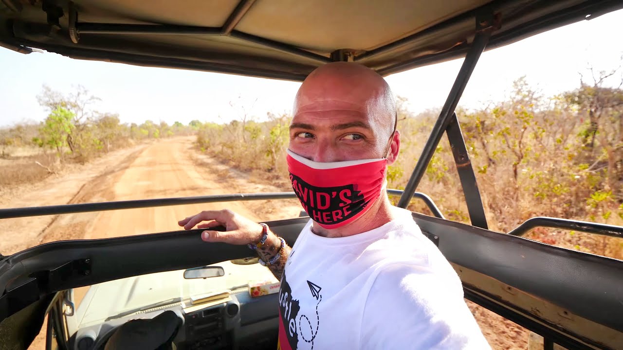 My First West African Game Drive!! African Wildlife In Mole National ...