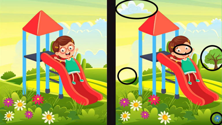 Spot the 5 Differences in Girl Playing on Slide Beat the 43-Second ...