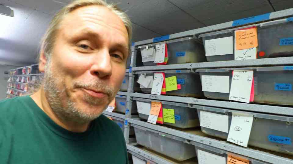 WHY I CHANGED THE WAY I KEEP REPTILES!?