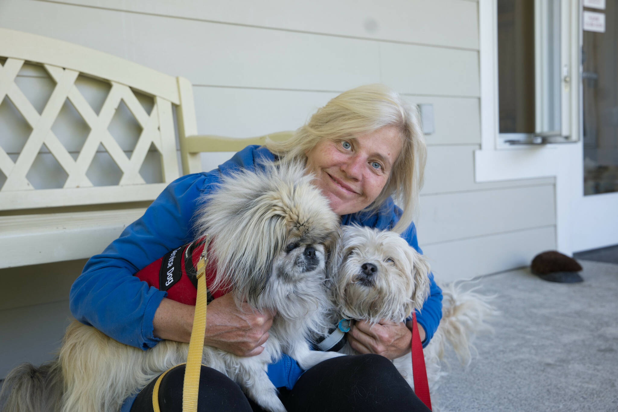 A bittersweet farewell: Frankie and Noodle’s journey to a new home ...