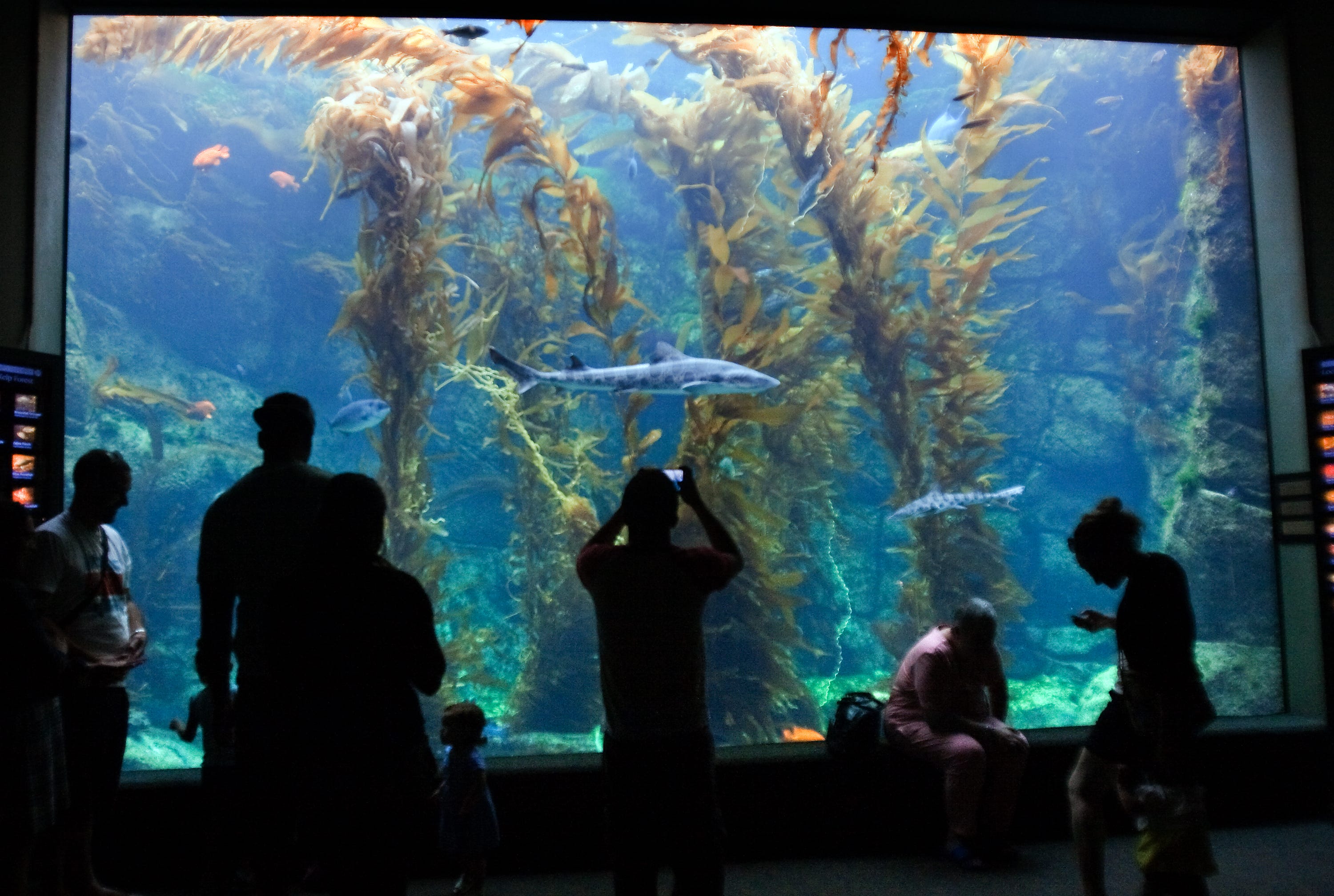 Will OKC get an aquarium? OKC Zoo says plans for Horizons District ...