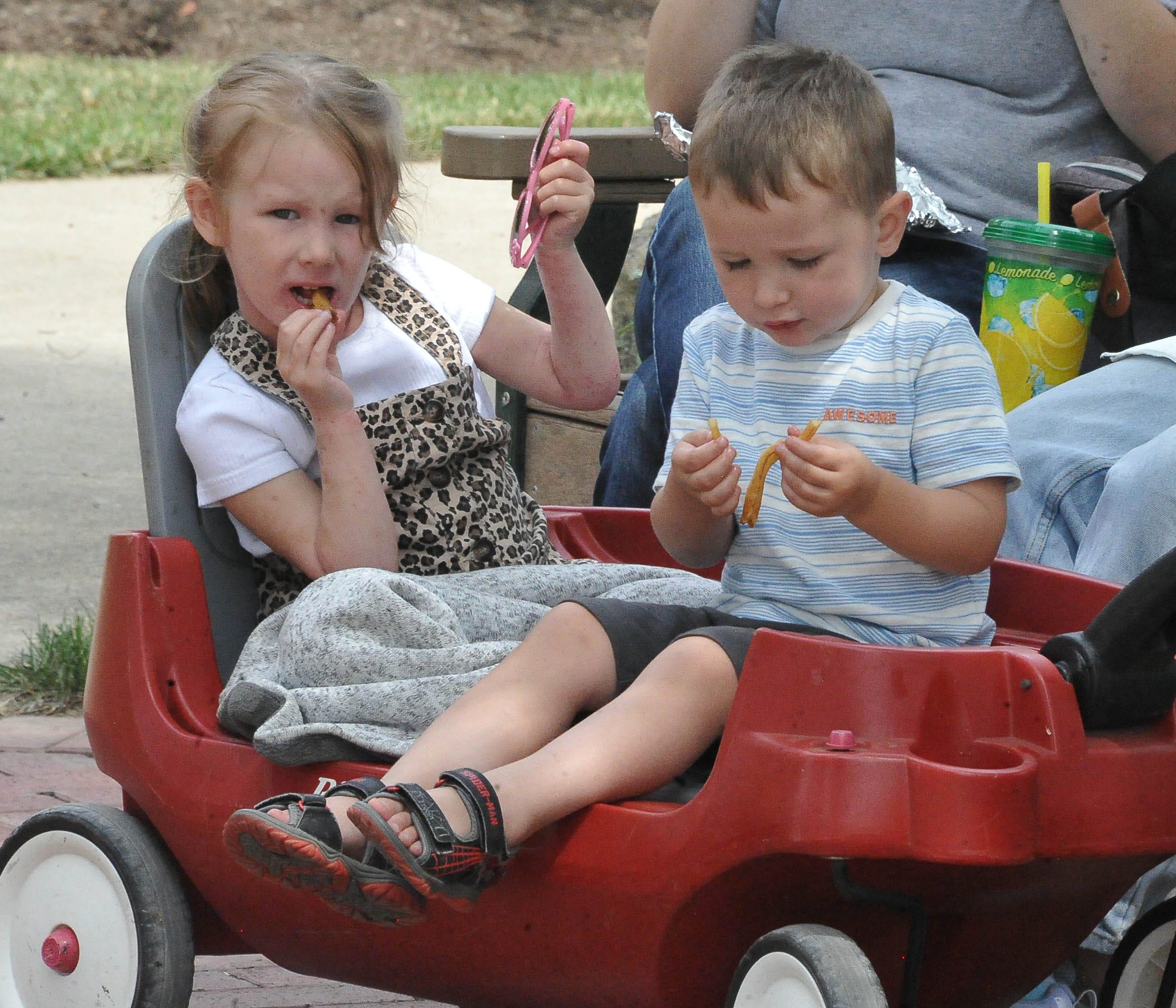 Chickens, swine, dog and horse shows kick of 2025 Holmes County Fair
