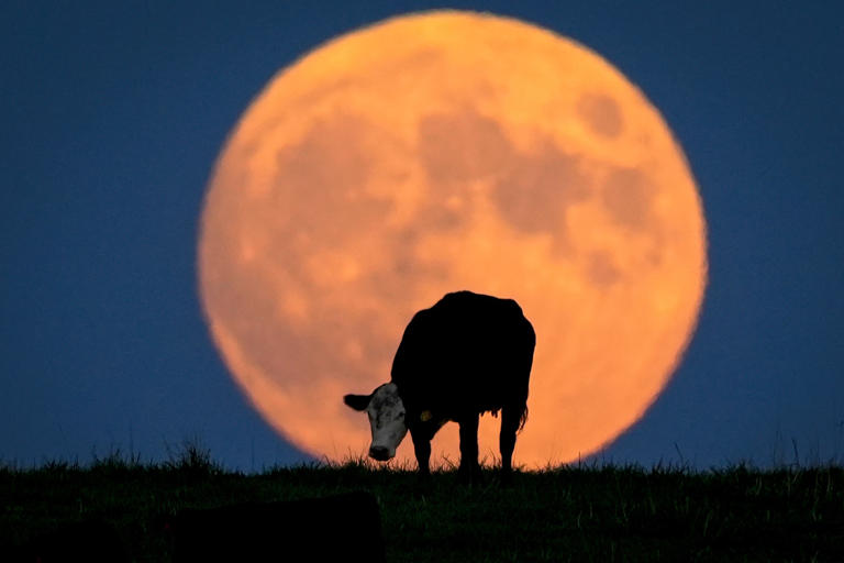Sturgeon Moon coming this week. Will skies be clear? When to view it in ...