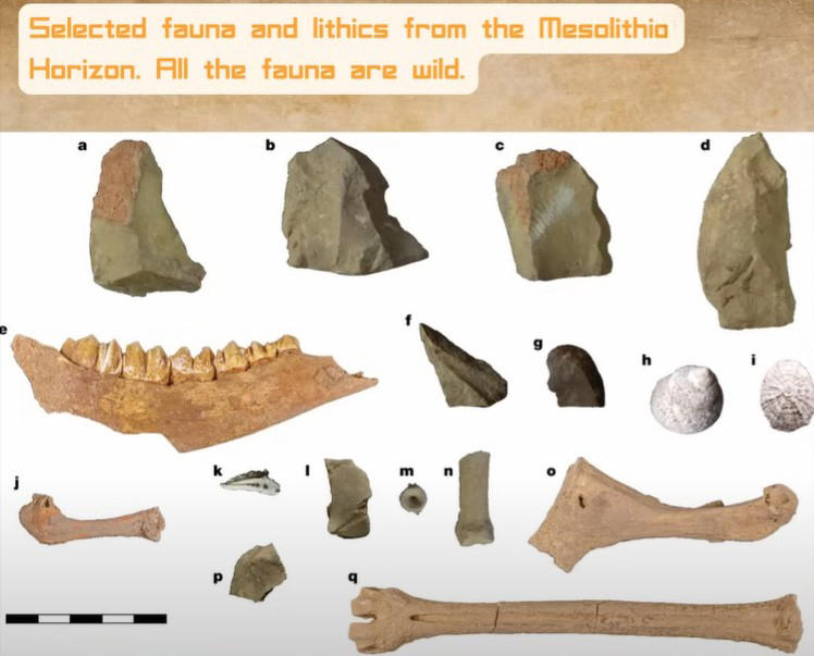 Archaeologists on Malta found evidence that Stone Age hunter-gatherers ...