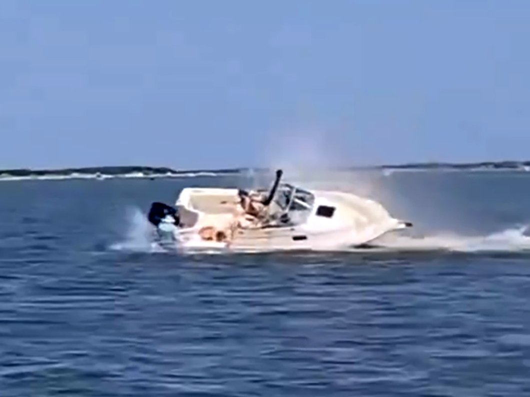 Whale crashes into boat: man goes overboard