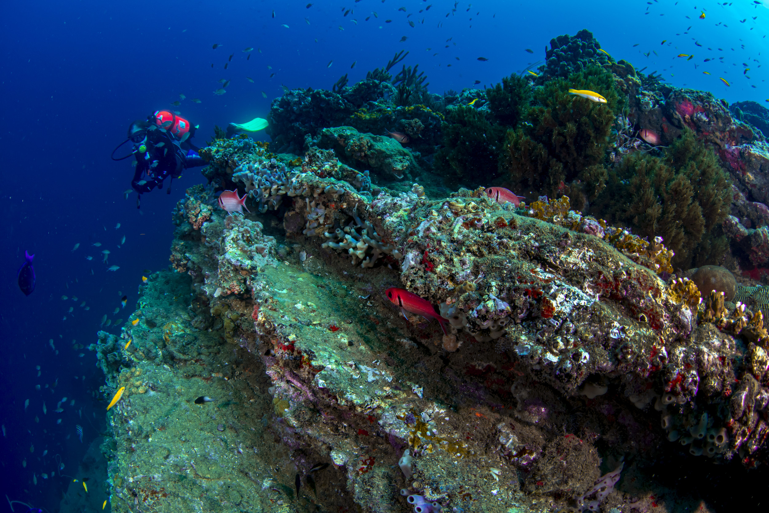 Deep-Sea Mining Threatens U.S. Security and Ocean Peace | Opinion