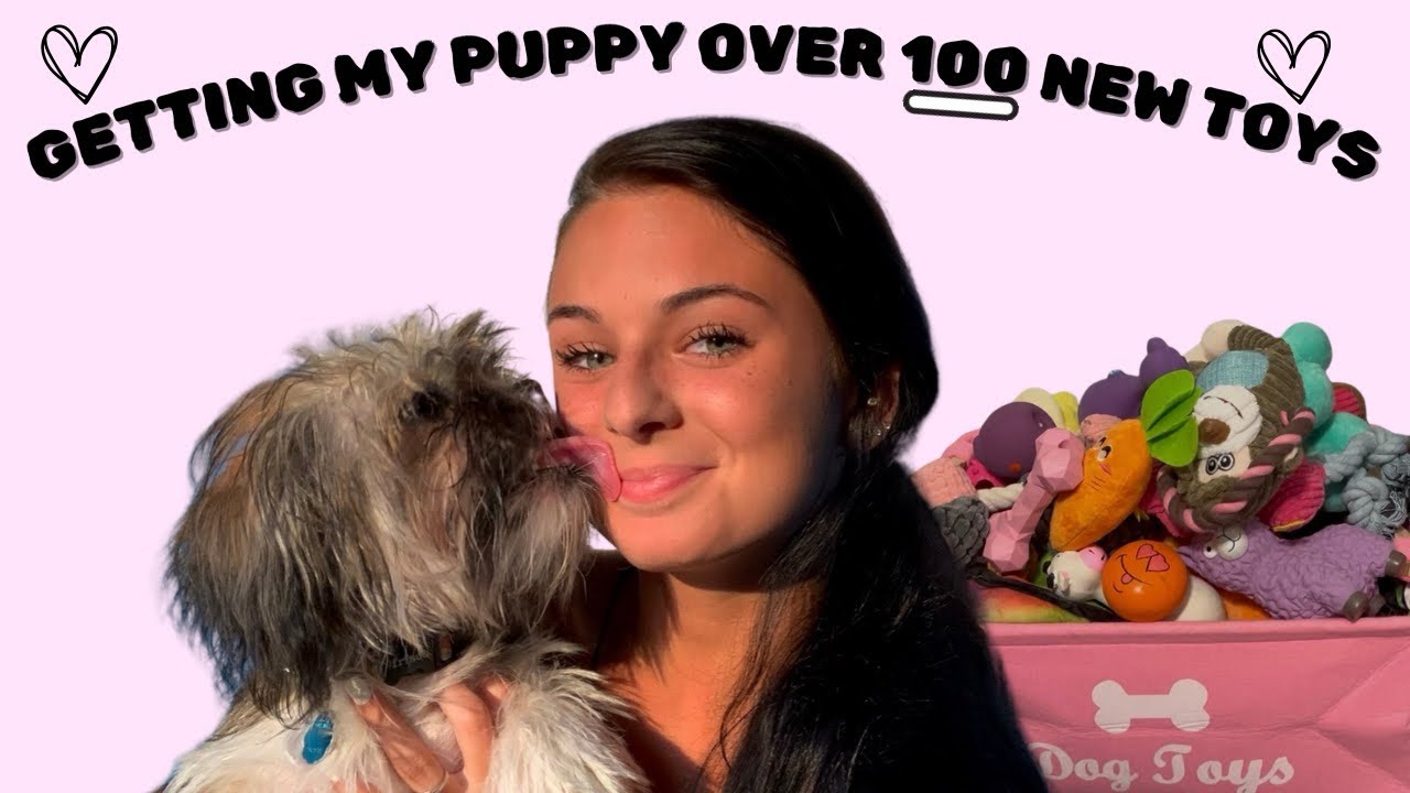 Massive TEMU Dog Toy Haul – Did I Buy Way Too Much?