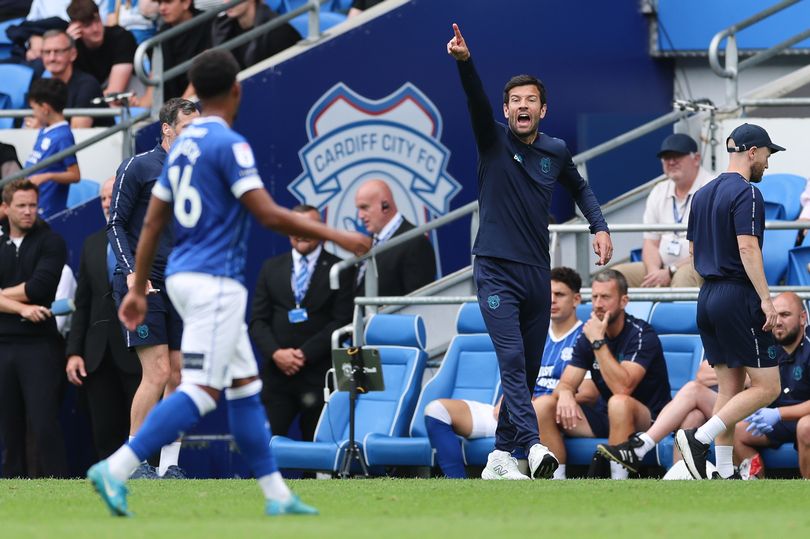 Rival boss hits nail on head about Cardiff City and Brian Barry-Murphy ...