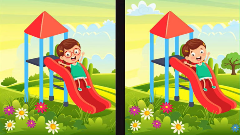 Spot the 5 Differences in Girl Playing on Slide Beat the 43-Second ...