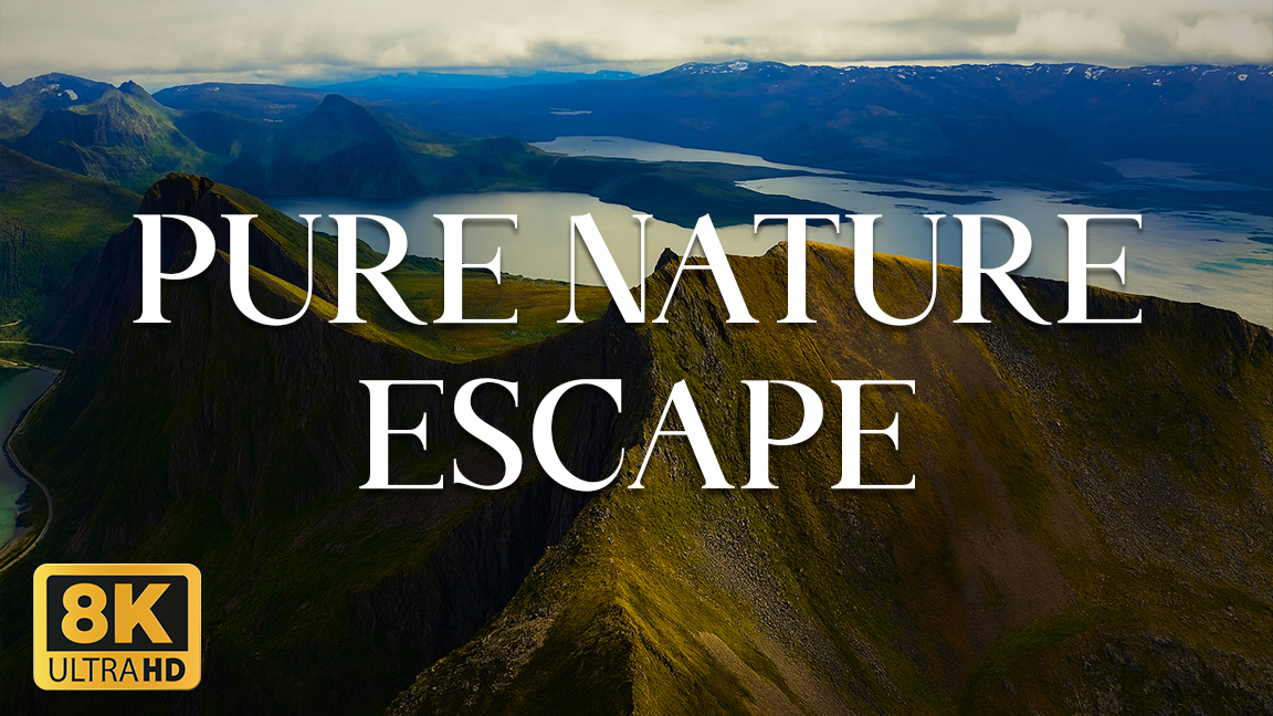 Pure Nature Escape – A Break from the Noise 4K