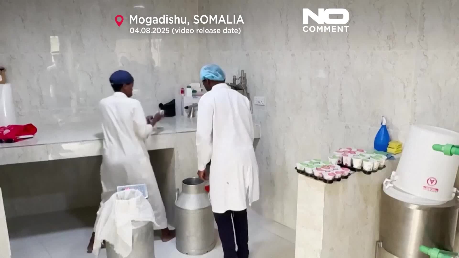 Camel dairies signal change in Somalia’s livestock economy