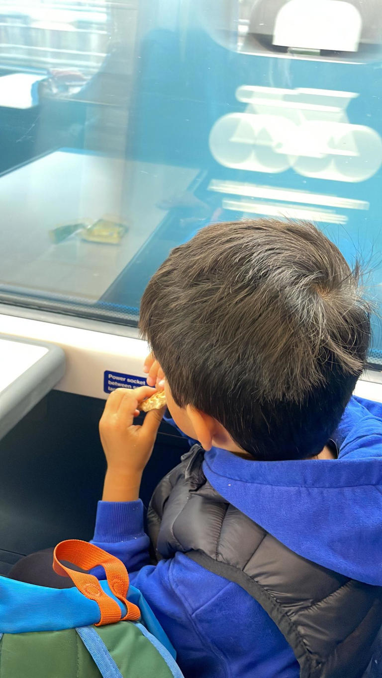 Nanny diaries: Train days