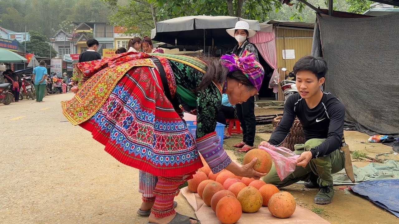Harvest big oranges to sell. earn money to build new house - Off grid ...